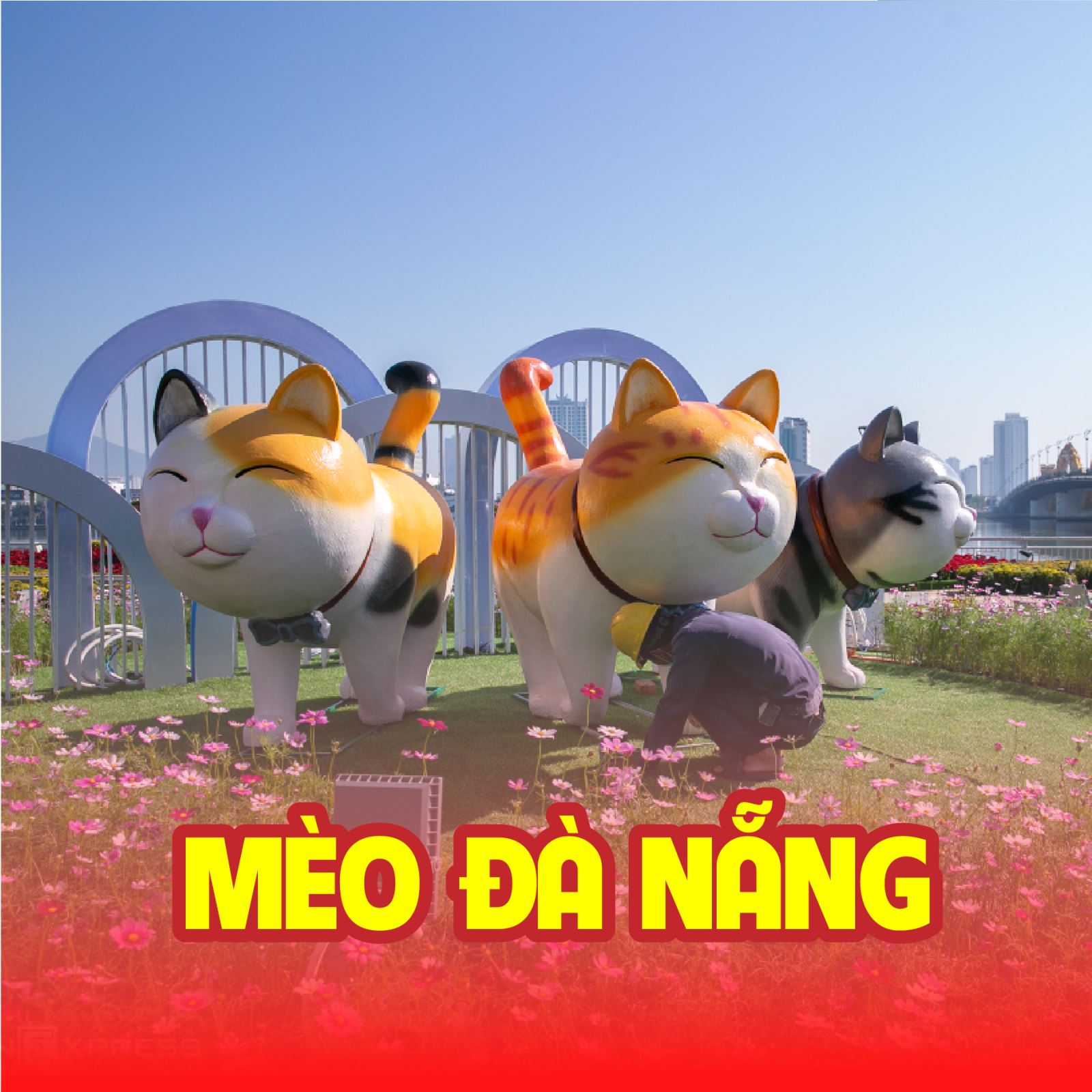 Linh vật mèo ở khắp lãnh thổ Việt Nam